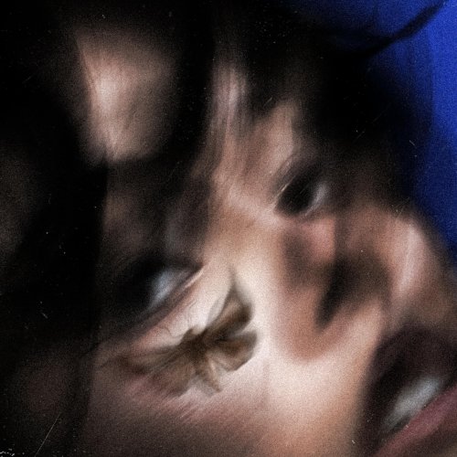 Letra de Darany - Downtown Bars | Musixmatch