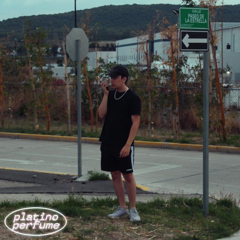 Letra de SONETO SOBRE LA ARENA de PLATINO PERFUME | Musixmatch