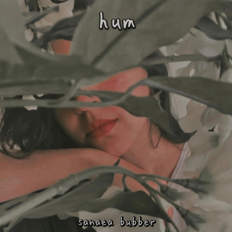 Sanaea Bubber - Hum Lyrics | Musixmatch