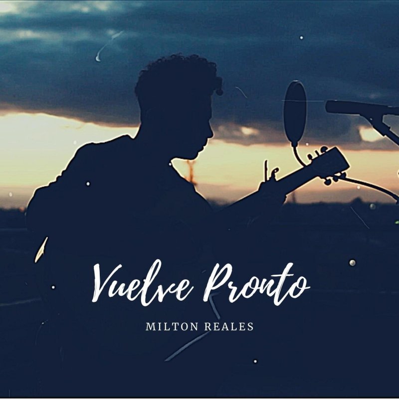Milton Reales - Vuelve Pronto Lyrics | Musixmatch