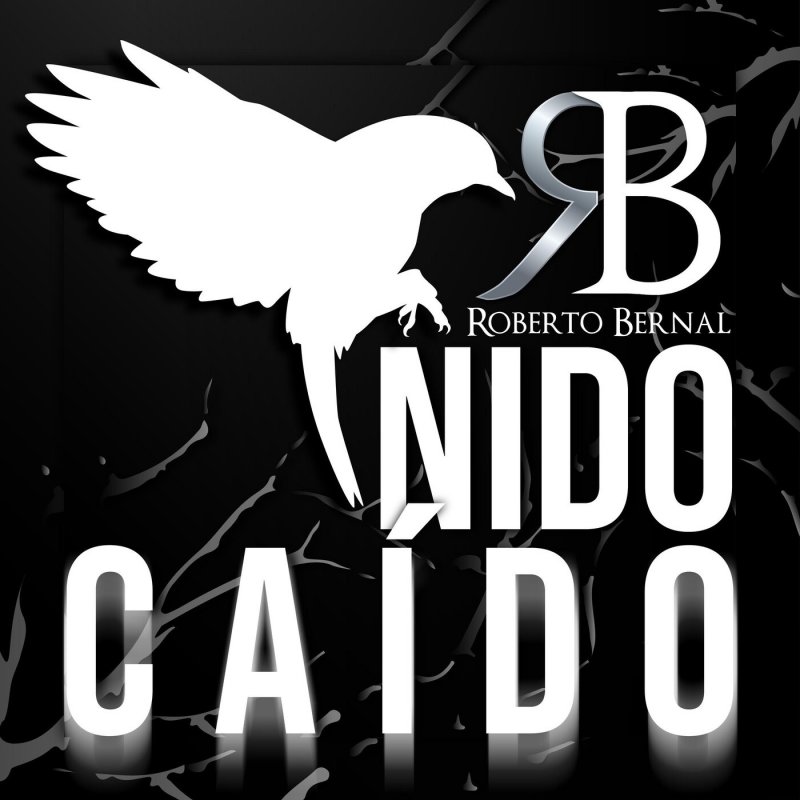 Roberto Bernal - Nido Caído Lyrics | Musixmatch