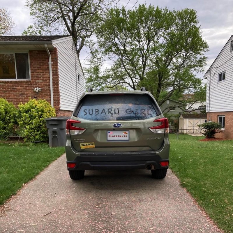 Letra de Subaru Girl de Doll Apartments | Musixmatch