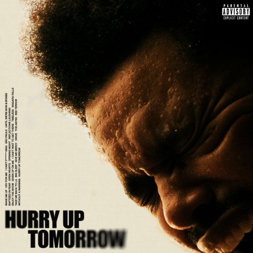 The Weeknd - Timeless lyrics | Musixmatch