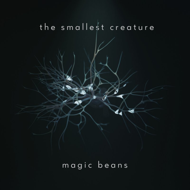 The smallest Creature - Find Lyrics | Musixmatch