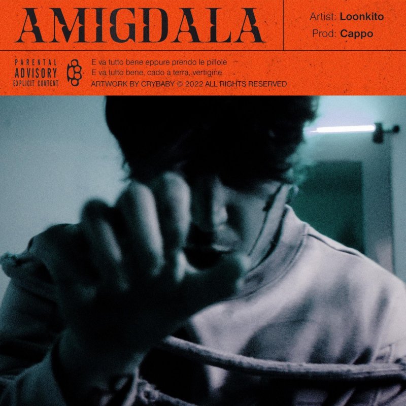 Letra de AMIGDALA de Loonkito | Musixmatch