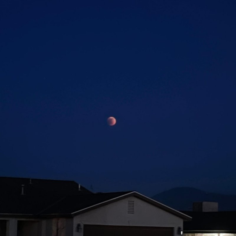 6odmikey - Jeff Bezos (Pesos) Lyrics | Musixmatch