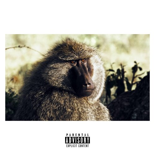 Dirty Dell - Salt Trap lyrics | Musixmatch