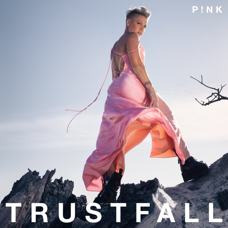 P!nk - Never Gonna Not Dance Again Lyrics | Musixmatch P!nk - Never Gonna Not Dance Again Lyrics | Musixmatch