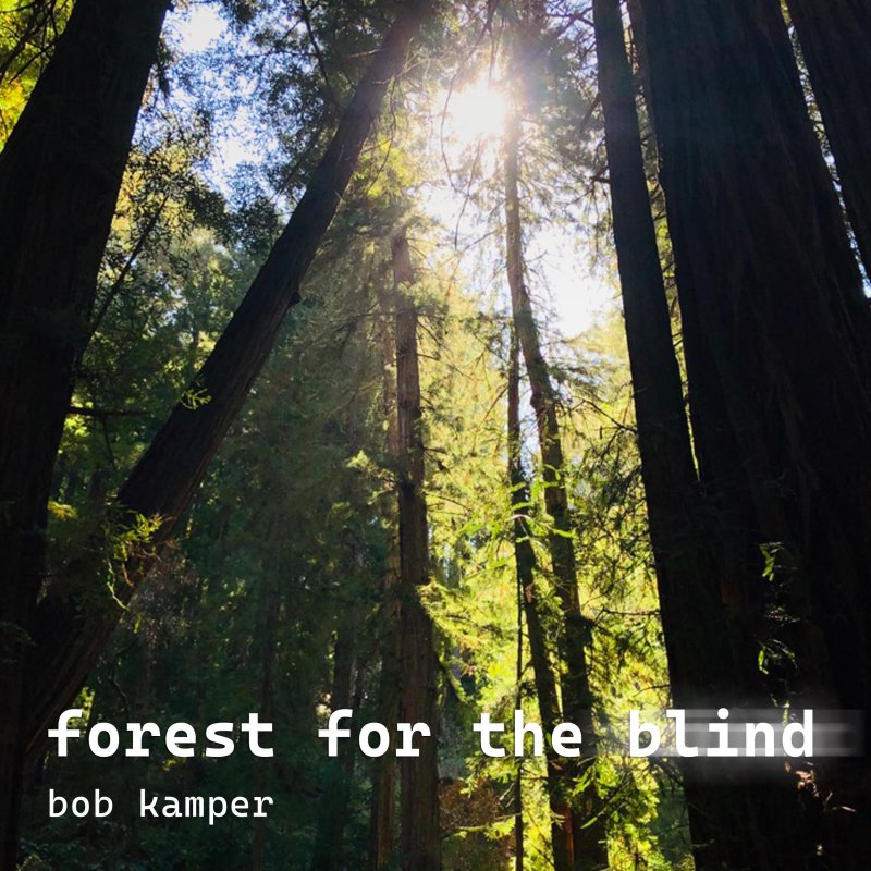 Bob Kamper - Forest For the Blind Lyrics | Musixmatch