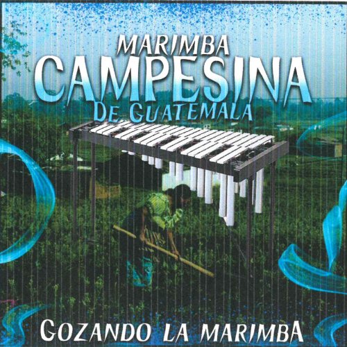 Marimba Campesina De Guatemala - Alegría de Mi Tierra lyrics | Musixmatch