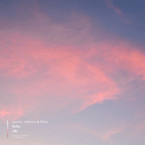 Lynnic, ItsArius, Dinia - Echo (Extended Mix) testo | Musixmatch