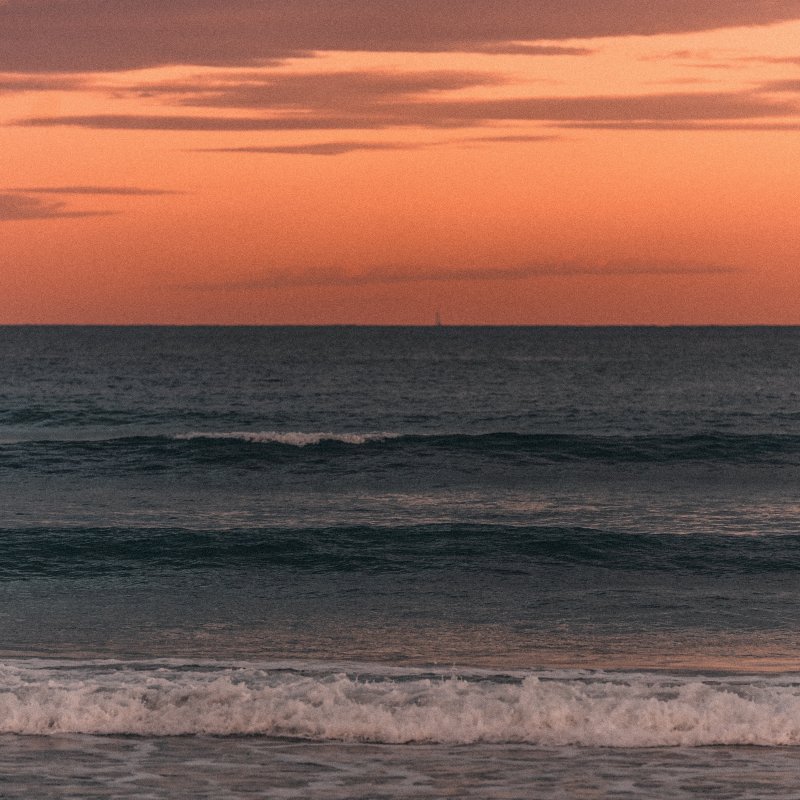 Gabriel Benedek - Free Lyrics | Musixmatch