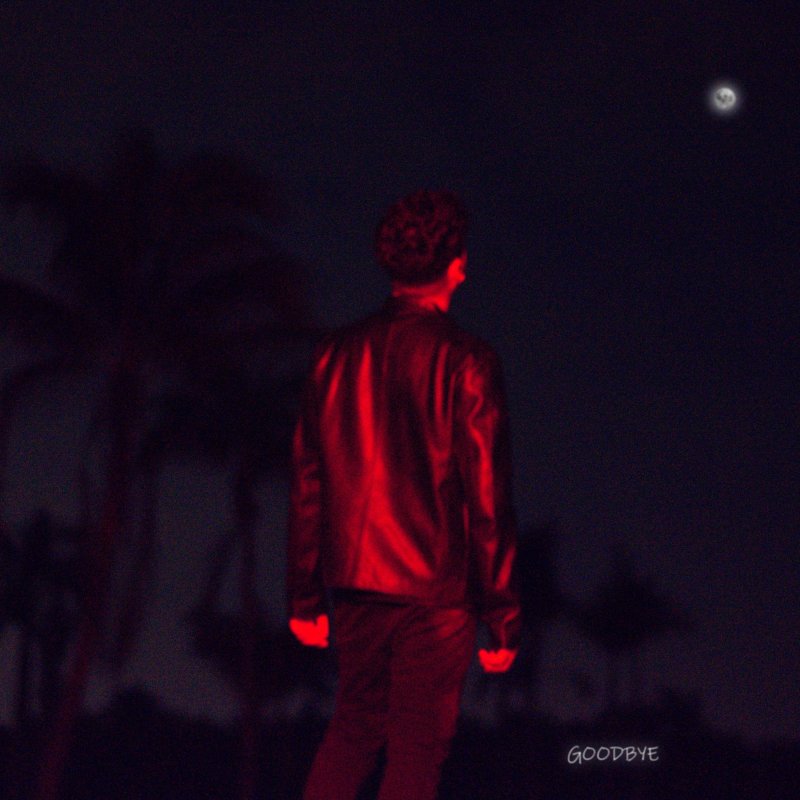 Letra de Goodbye de Brandon Grey | Musixmatch