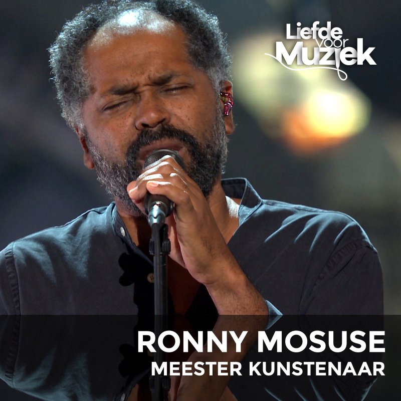Letra de Meester Kunstenaar - Uit Liefde Voor Muziek de Ronny Mosuse ...
