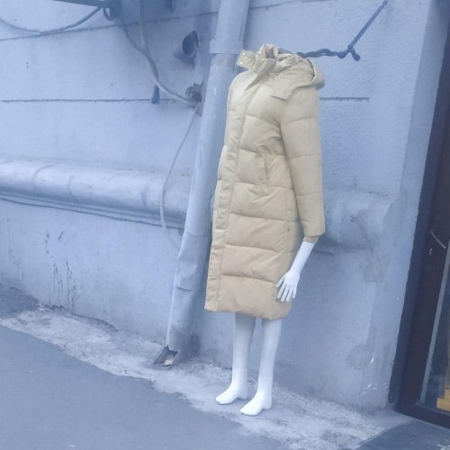 Dumb As Rocks - paroles de Low IQ | Musixmatch