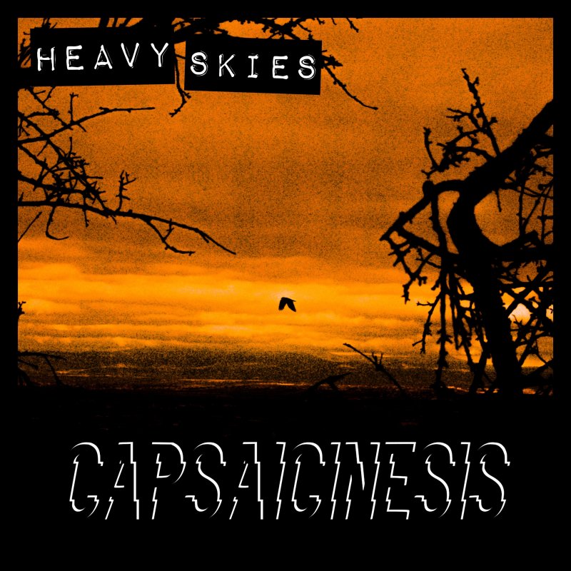 Capsaicinesis - Accept Lyrics | Musixmatch