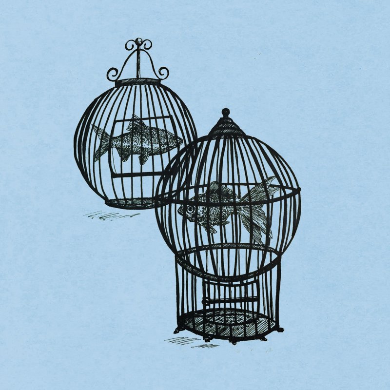 Fish in a Birdcage - Rule #7 - Angel Tango Lyrics | Musixmatch