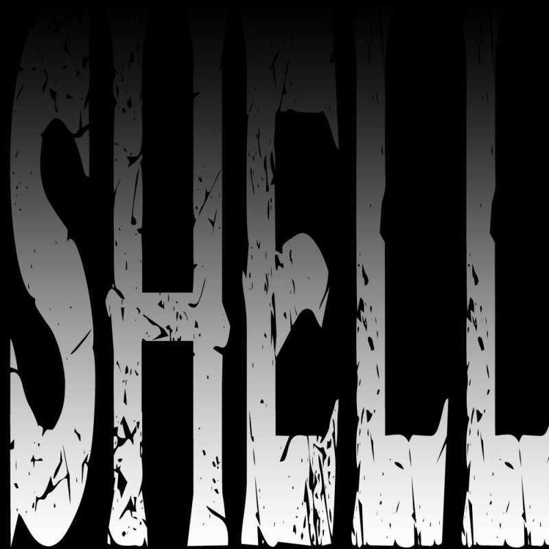 Letra de Shell de Apathetic Discharge | Musixmatch