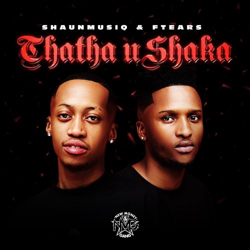 Shaunmusiq, Ftears, Young Stunna, DJ Maphorisa - uShaka (feat. DJ ...