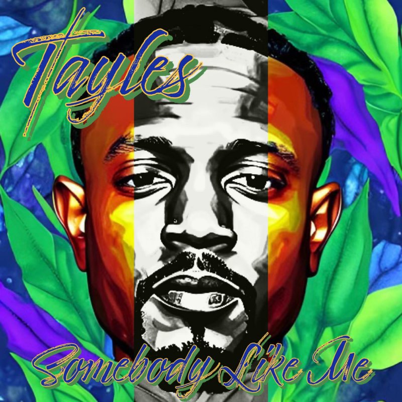 Tayles - Somebody Like Me Lyrics | Musixmatch