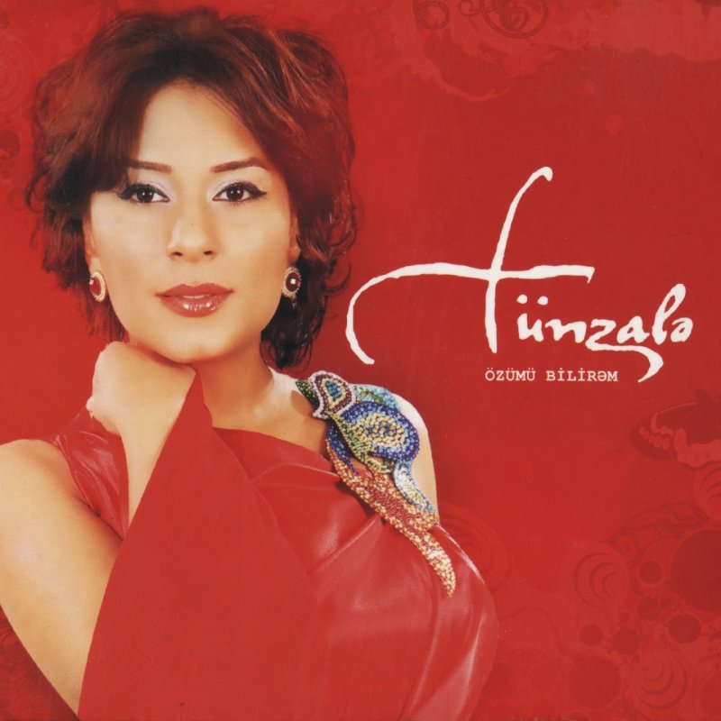 Tunzale - Olmazsa Olmaz Lyrics | Musixmatch