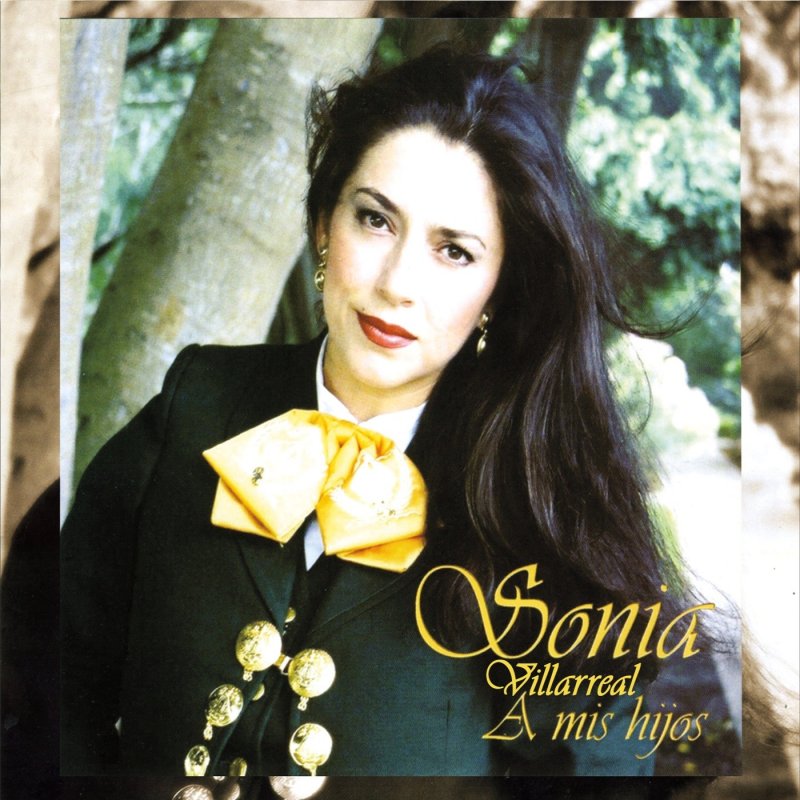 Sonia Villarreal - Historia De Un Amor Lyrics | Musixmatch