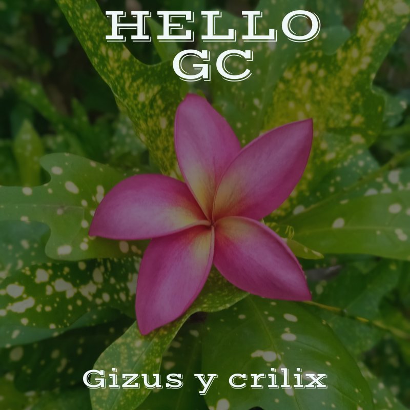 GIZUS Y CRILIX - La Modelo Lyrics | Musixmatch