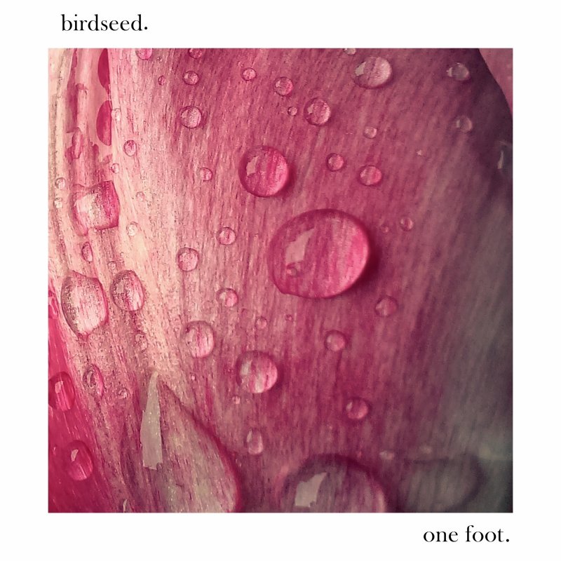 birdseed. - One Foot. Lyrics | Musixmatch