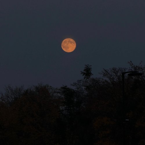 Letra de Mevrin - l love you | Musixmatch