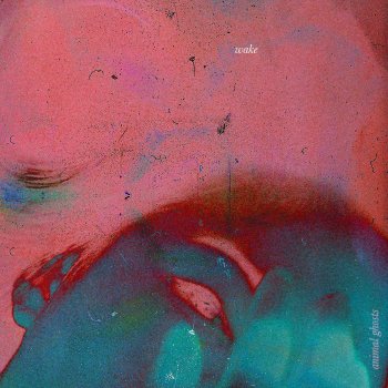 Letras de Animal Ghosts | Musixmatch