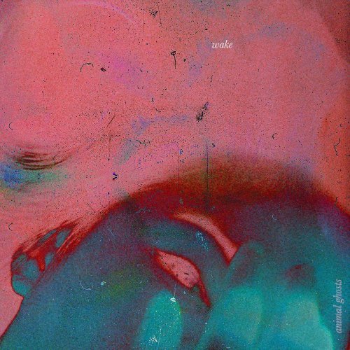 Letras de Animal Ghosts | Musixmatch