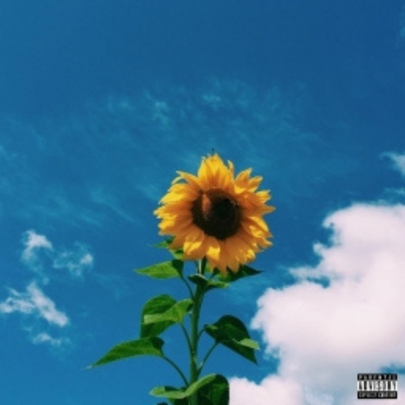 Letra de thrift store de Azure Sprites | Musixmatch