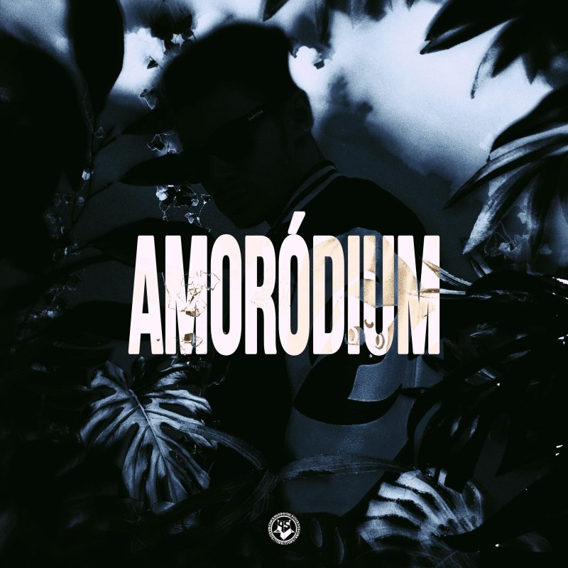 Poppa Wafer - Amoródium Lyrics | Musixmatch