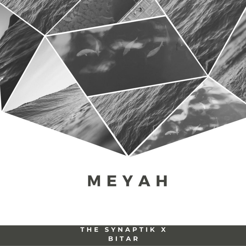 The Synaptik - Meyah Lyrics | Musixmatch