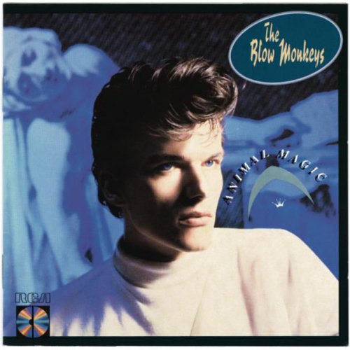 The Blow Monkeys - Digging Your Scene lyrics | Musixmatch