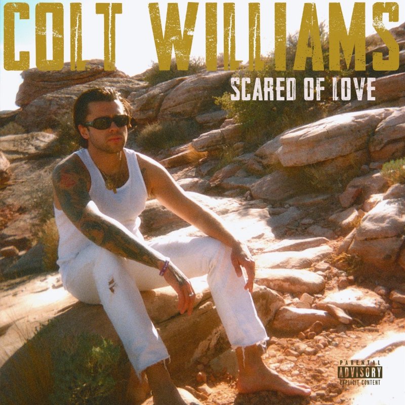 Colt Williams - Shot In The Dark Lyrics | Musixmatch