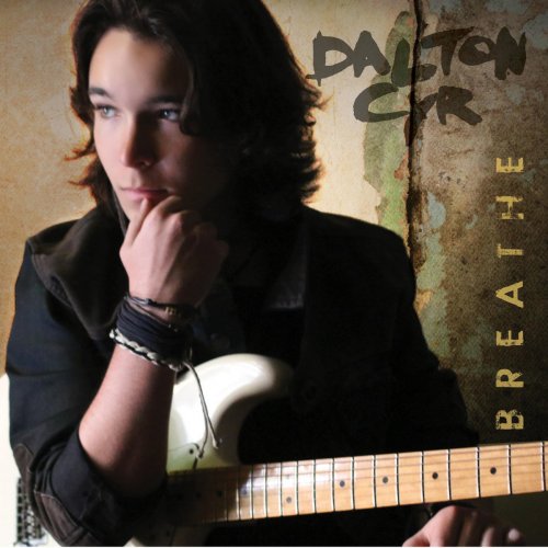 Letra de Dalton Cyr - Fall into Place | Musixmatch