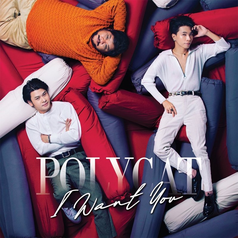 Polycat - เวลาเธอยิ้ม - Live in Polycat I Want You Concert Lyrics ...