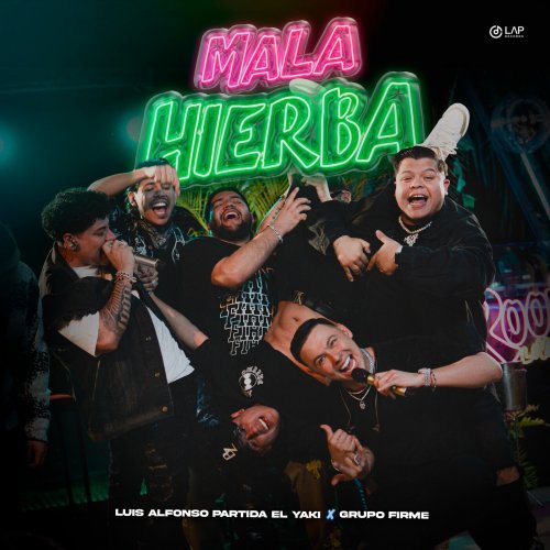 Letra de Luis Alfonso Partida El Yaki, Grupo Firme - Mala Hierba ...