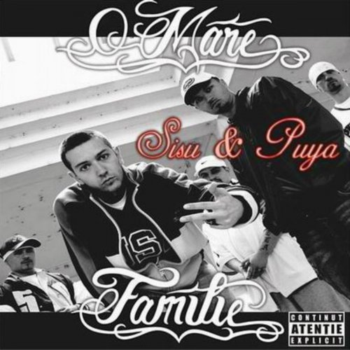 Letra de Sisu Si Puya - Pune-I la pamant - Original | Musixmatch