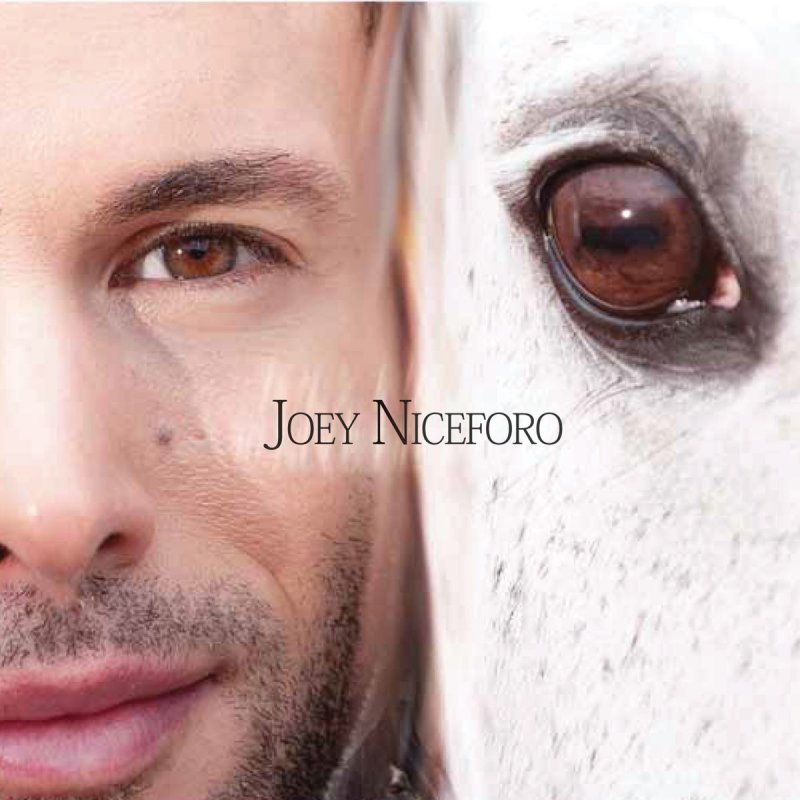 Joey Niceforo - Winner Takes It All Lyrics | Musixmatch