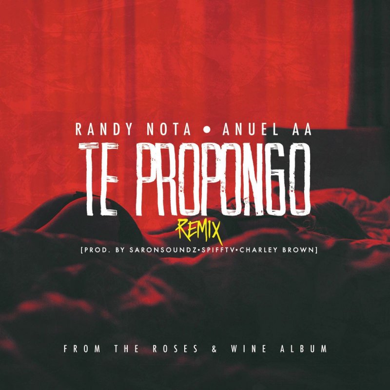 Letra de Te Propongo de Randy feat. Anuel AA | Musixmatch