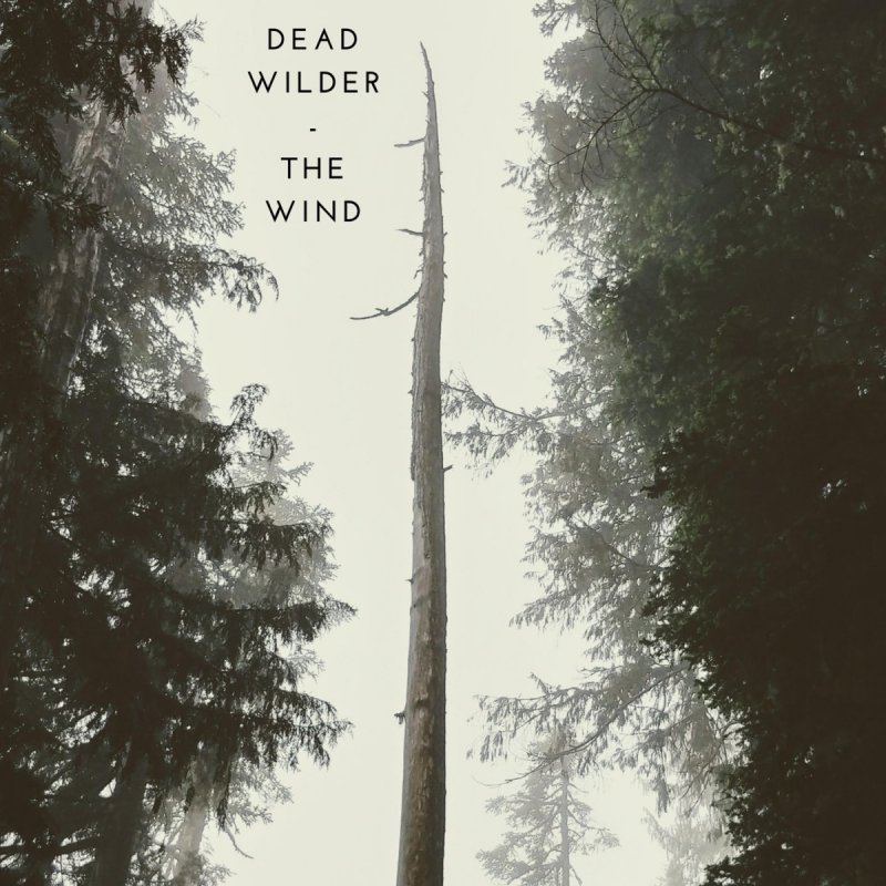 Letra de Family Tree de Dead Wilder | Musixmatch