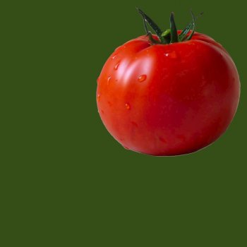 Whatever, Dad lyrics | Musixmatch