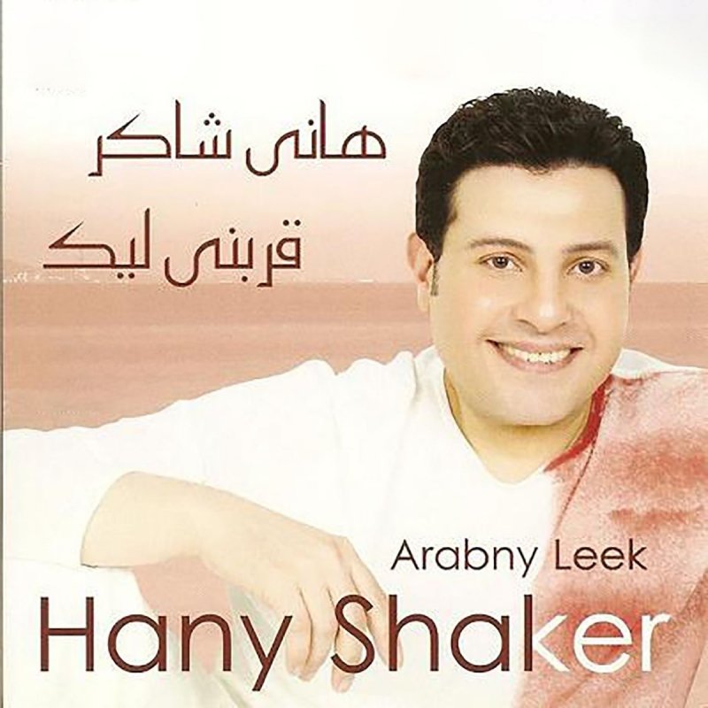 Hany Shaker - Ana Ashek Lyrics | Musixmatch