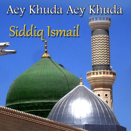 Siddiq Ismail - Main Lab Kusha Nahi Hoon lyrics | Musixmatch