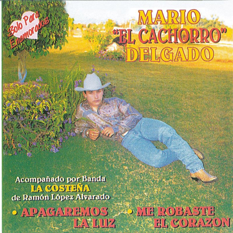 Letra de Tu y Yo y Nuestro Amor de Mario El Cachorro Delgado | Musixmatch
