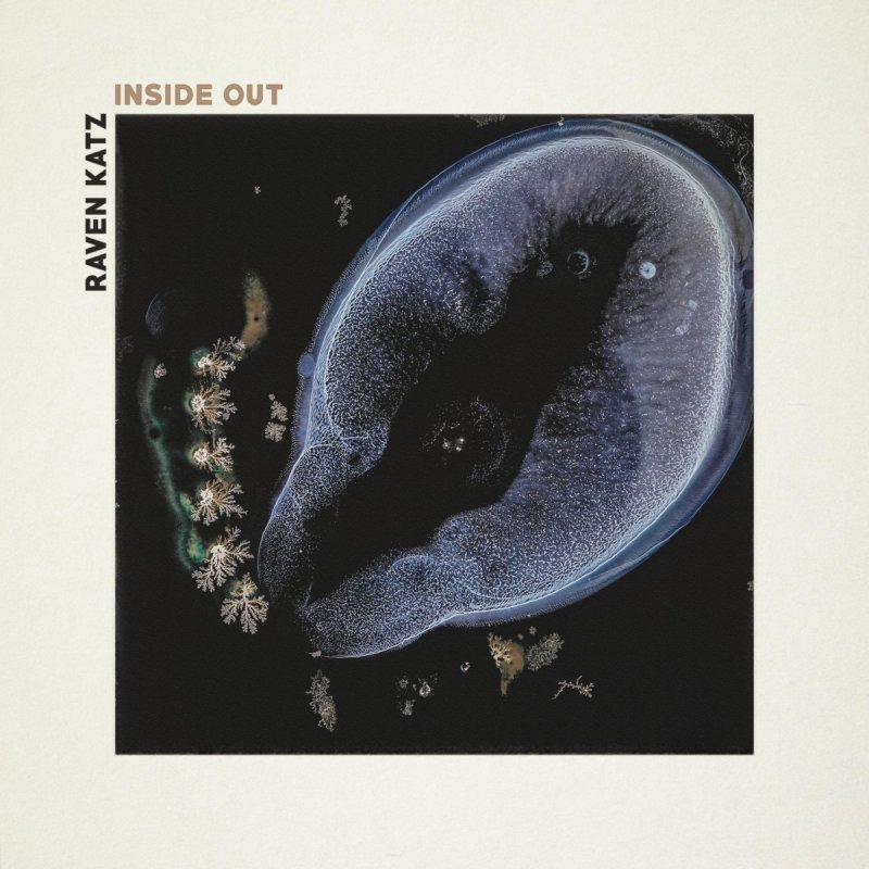 Letra de Inside Out de Raven Katz | Musixmatch