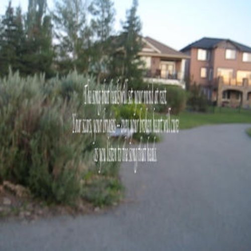 Lyre Still - Letras de Lazarus after two years | Musixmatch