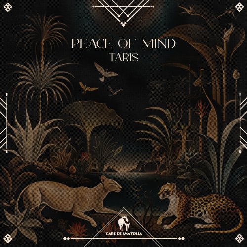 TARIS & Cafe De Anatolia - Peace of Mind lyrics | Musixmatch